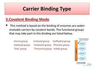 ENZYME IMMOBILIZATION | PPTX