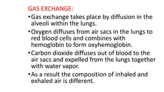 TOPIC - GAS EXCHANGE IN HUMANS IGCSE VERY HELPFUL | PPTX