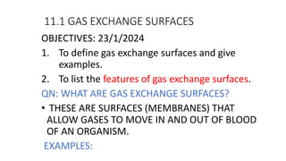 TOPIC - GAS EXCHANGE IN HUMANS IGCSE VERY HELPFUL | PPTX