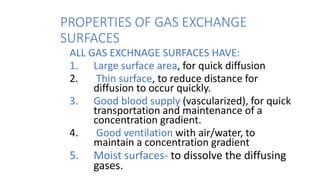TOPIC - GAS EXCHANGE IN HUMANS IGCSE VERY HELPFUL | PPTX