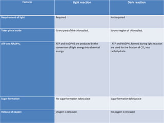 Photosynthesis (class 10) | PPTX
