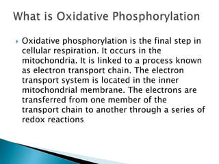 TOPIC-OXIDATIVE and PHOSPHORYLATION.pptx