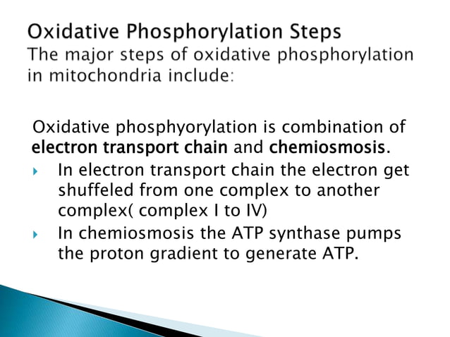 TOPIC-OXIDATIVE and PHOSPHORYLATION.pptx