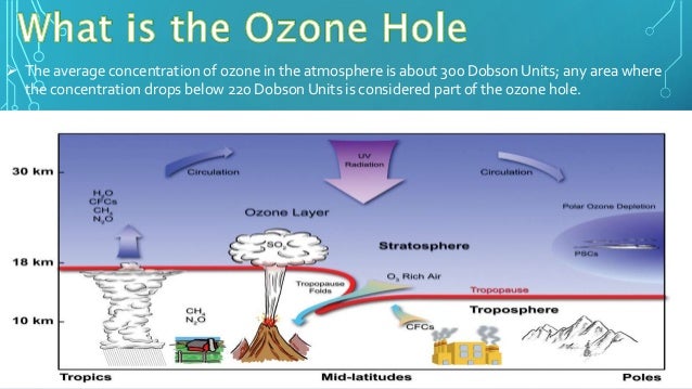 Topic ozone deplation final ppt