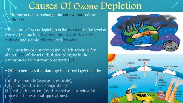 Topic ozone deplation final ppt
