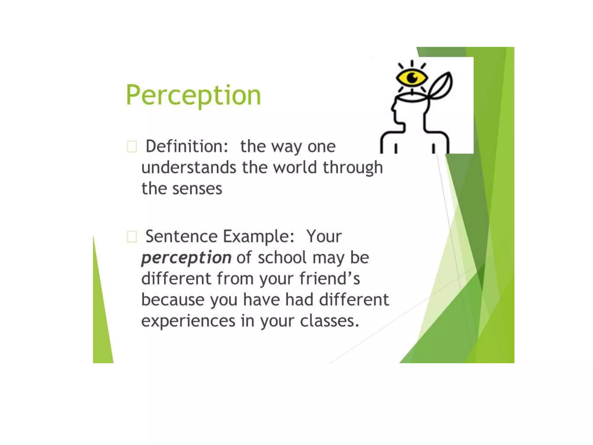 TOPIC - PERCEPTION.pptx