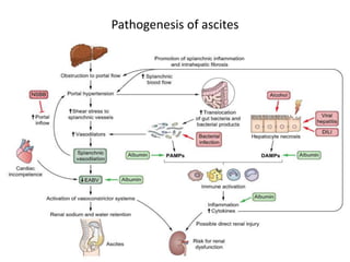 Topic- Refractory ascites evaluation and tt.pptx