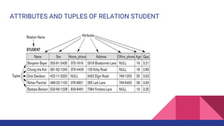 TOPIC_-RELATIONAL MODEL.pptx