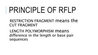 TOPIC-RESTRICTION FRAGMENT LENGTH POLYMORPHISM [RFLP].pptx