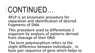 TOPIC-RESTRICTION FRAGMENT LENGTH POLYMORPHISM [RFLP].pptx