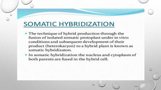 Somatic Hybridization | PPT