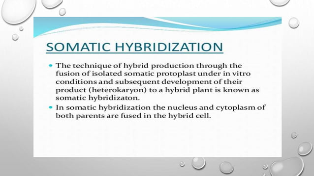 Somatic Hybridization | PPT