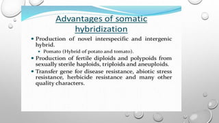Somatic Hybridization | PPT