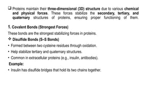 Topic- Stability of Proteins and Nucleic acids-1.pptx