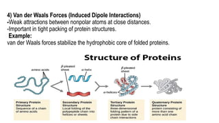 Topic- Stability of Proteins and Nucleic acids-1.pptx
