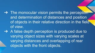 Topic stereoscopy, Parallax, Relief displacement | PDF