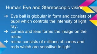 Topic stereoscopy, Parallax, Relief displacement | PDF