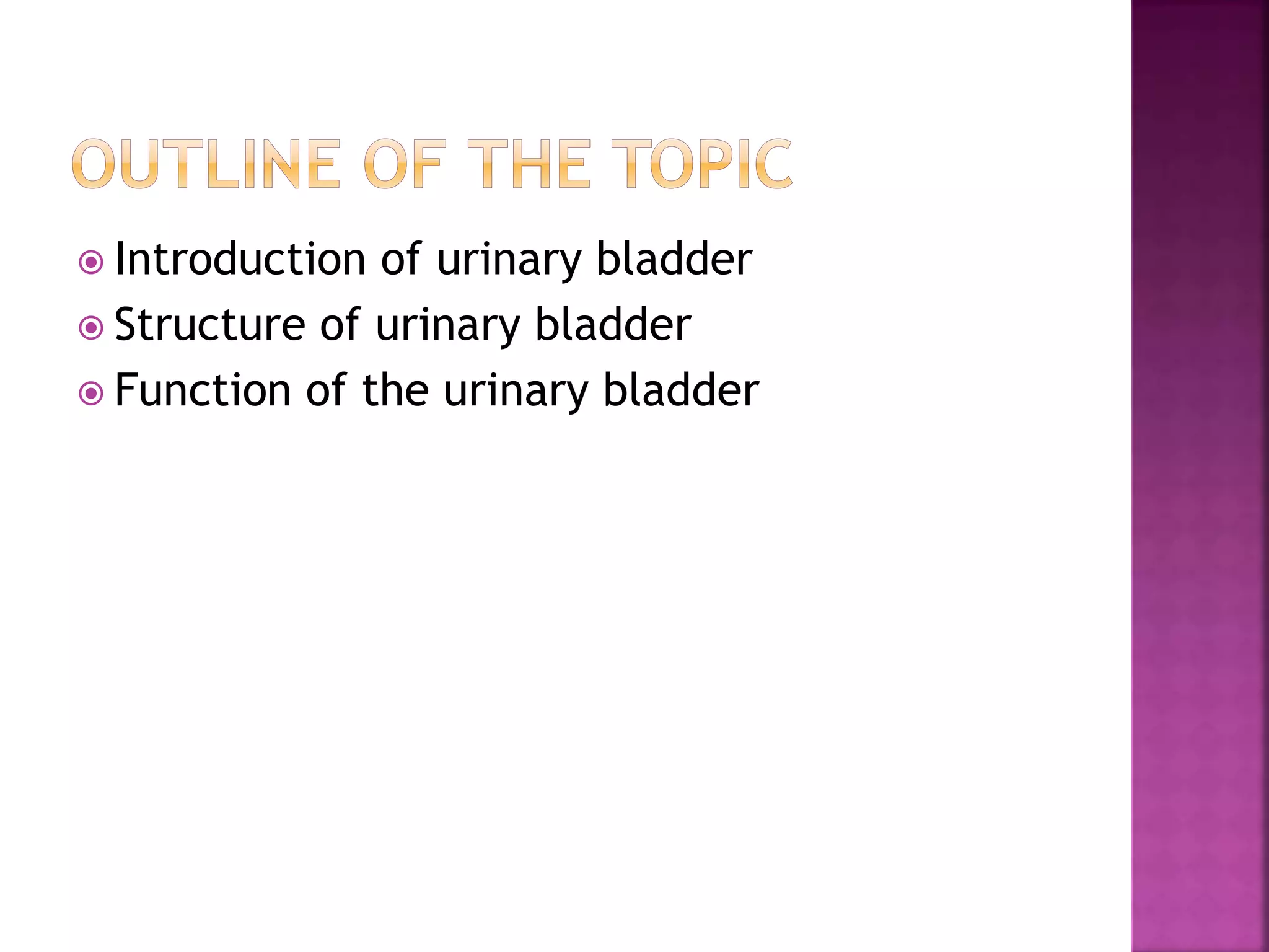 Topic urinary bladder | PPTX