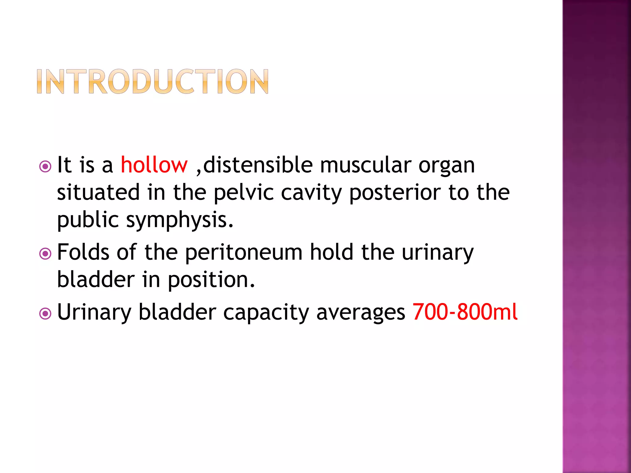 Topic urinary bladder | PPTX