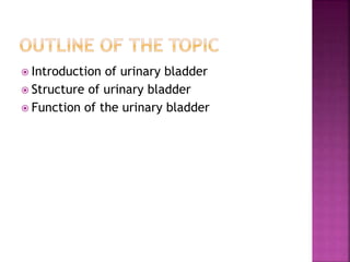 Topic urinary bladder | PPT