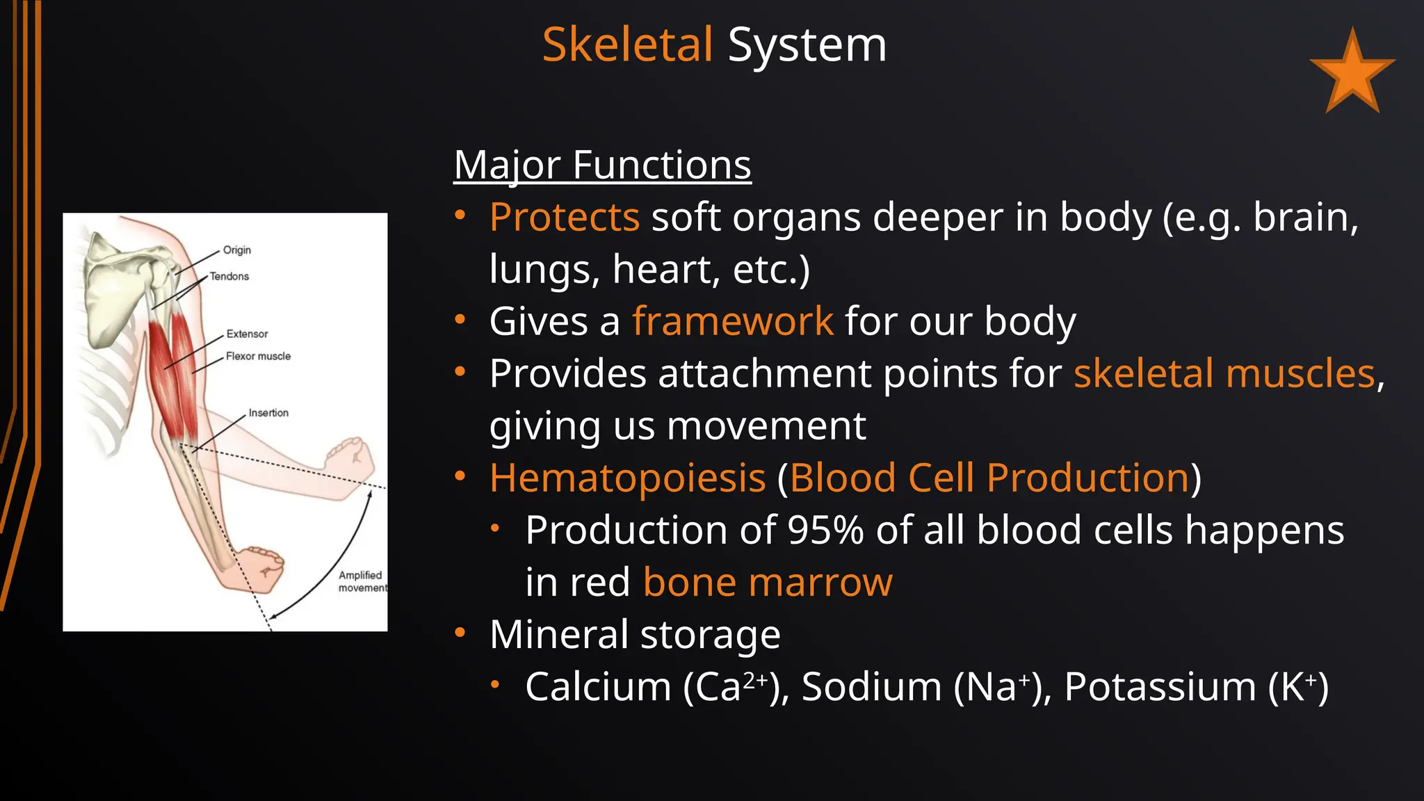Topic 01 - An Organ Systems Overview.pptx