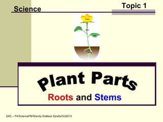 Science - Topic 01: Plant Parts - roots and stems | PPT