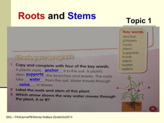 Science - Topic 01: Plant Parts - roots and stems | PPT