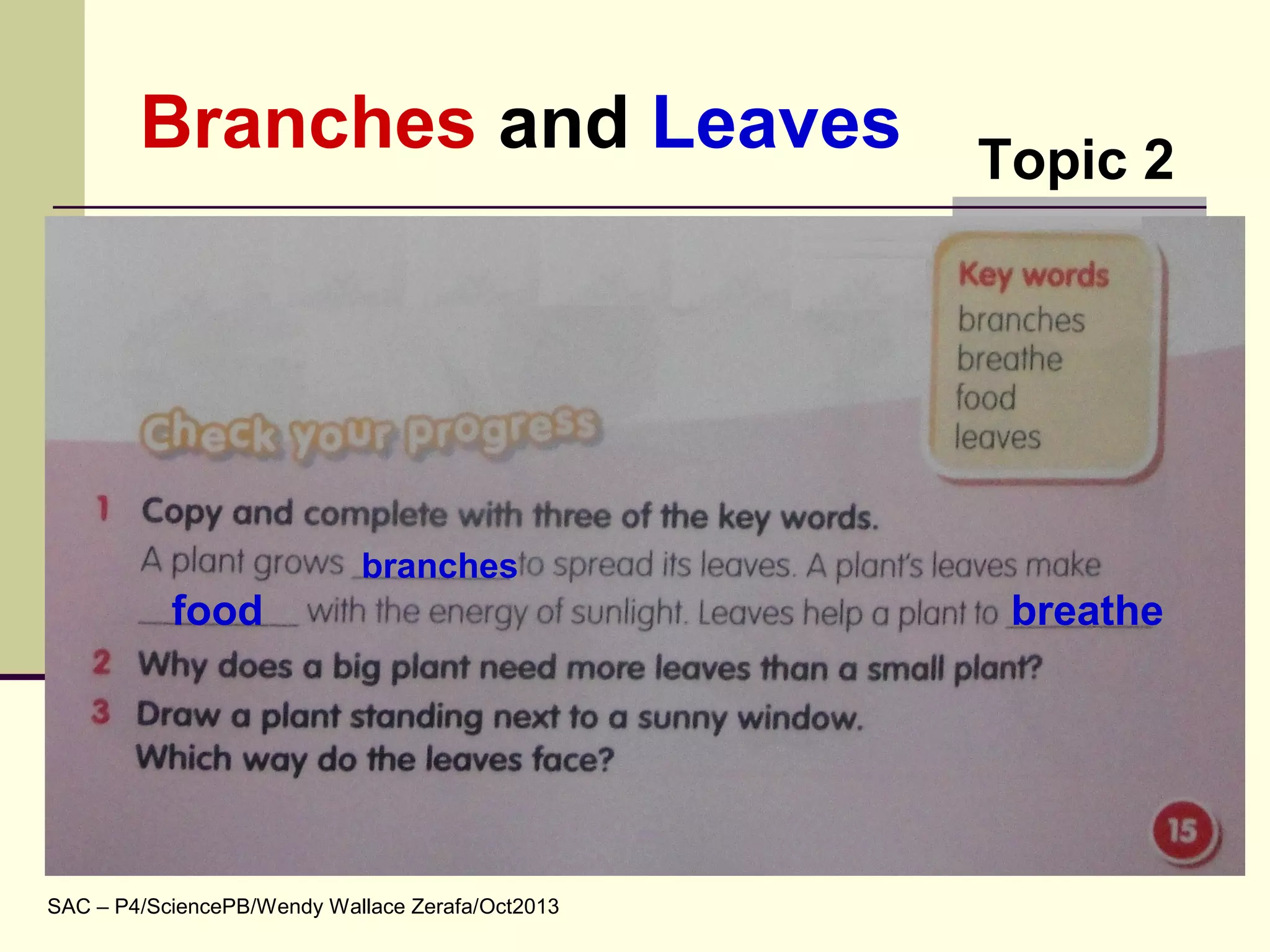 Science - Topic 02: Plant Parts - branches and leaves | PPT