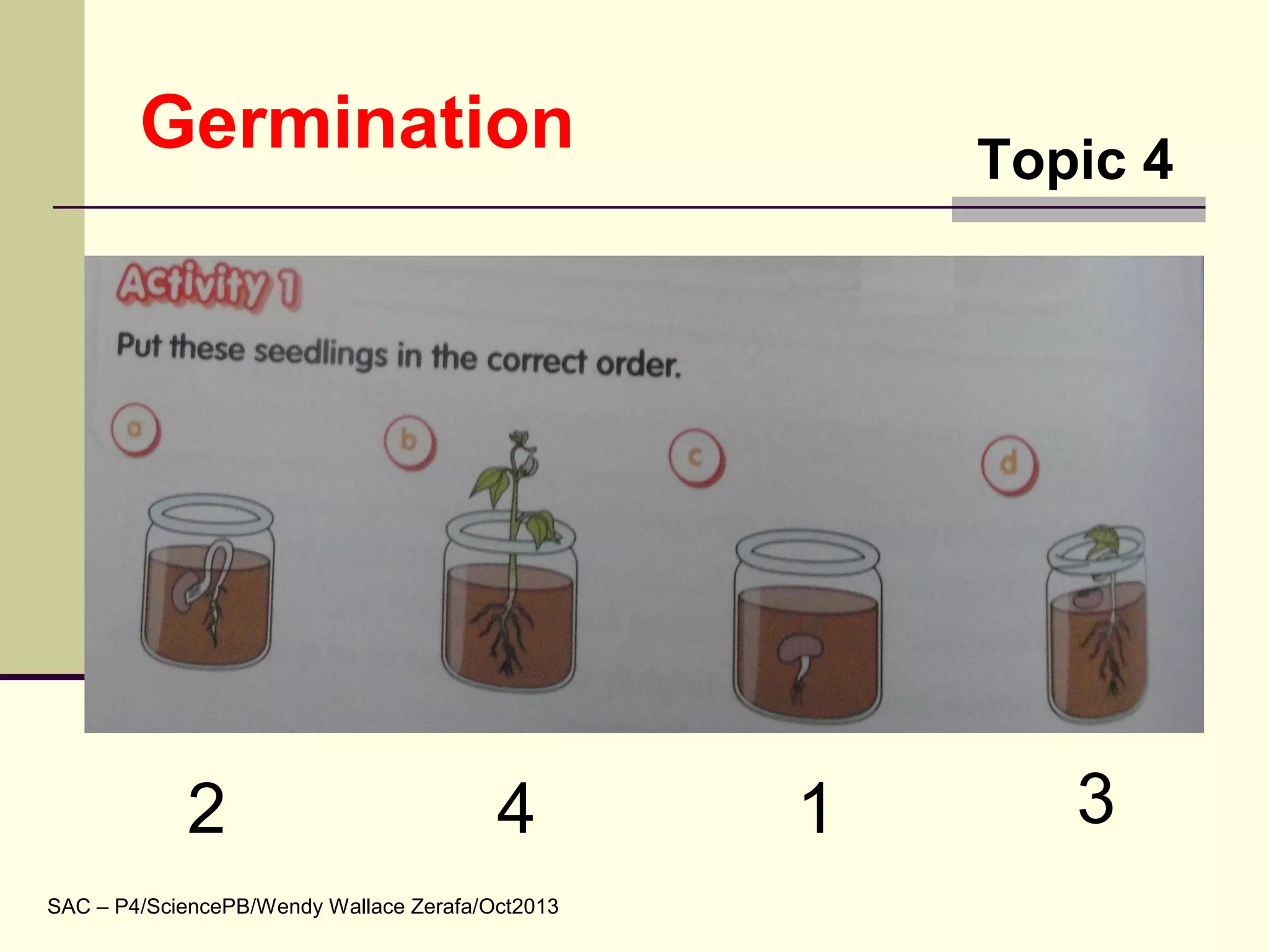 Science - Topic 04: Germination and growth | PPT