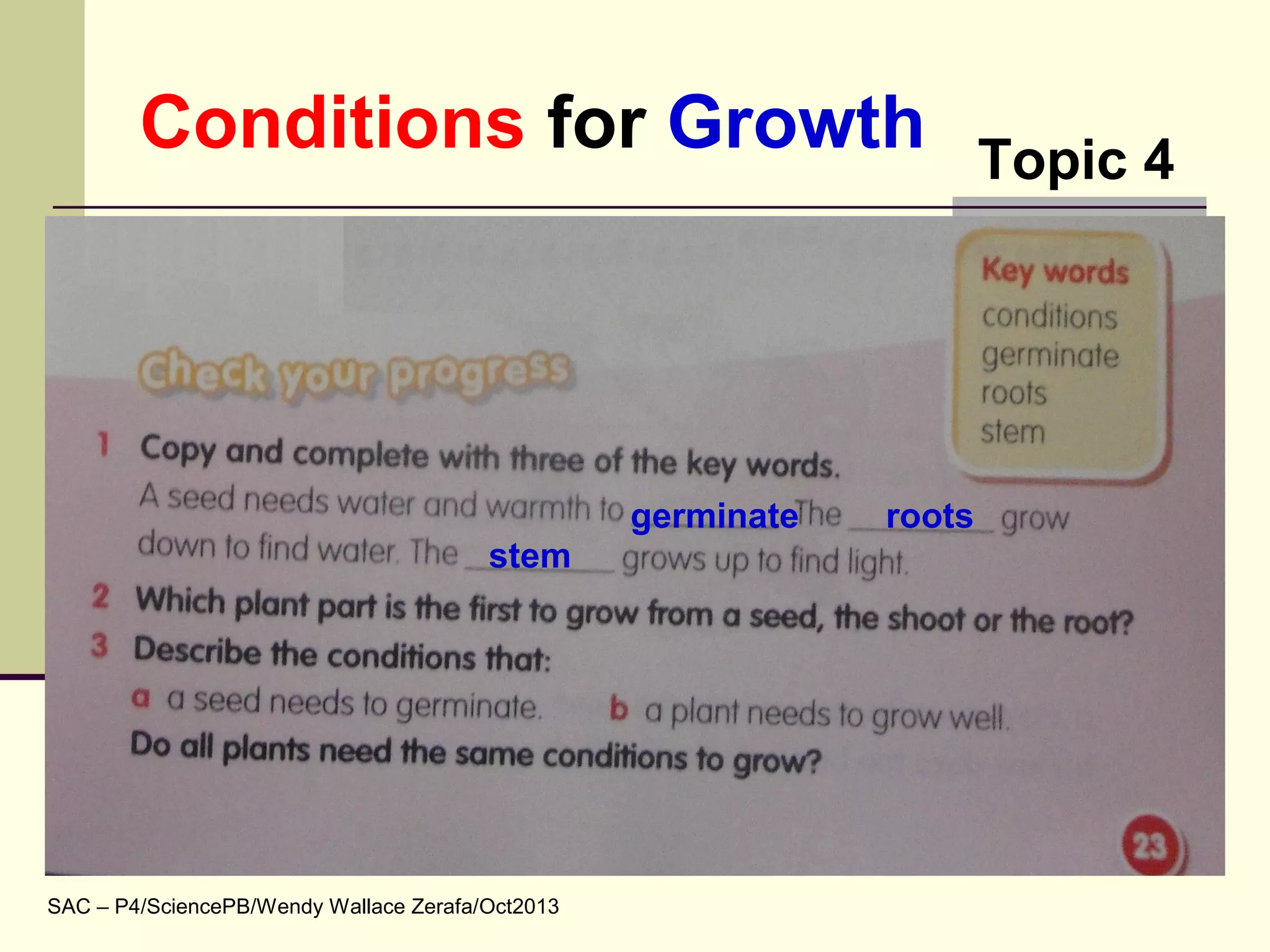 Science - Topic 04: Germination and growth | PPT