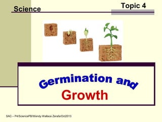 Germination Definition