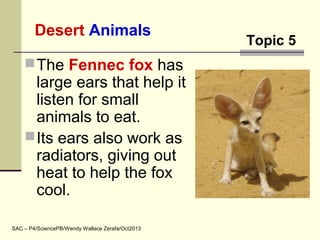 Science - Topic 05: How animals respond to heat and cold | PPT