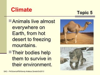 Science - Topic 05: How animals respond to heat and cold | PPT