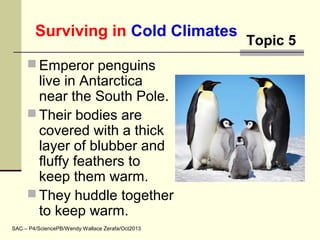 Science - Topic 05: How animals respond to heat and cold | PPT