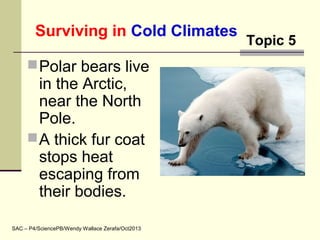 Science - Topic 05: How animals respond to heat and cold | PPT