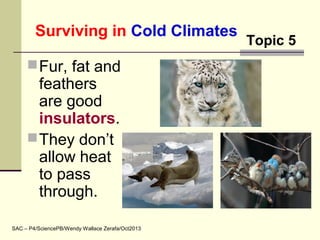 Science - Topic 05: How animals respond to heat and cold | PPT