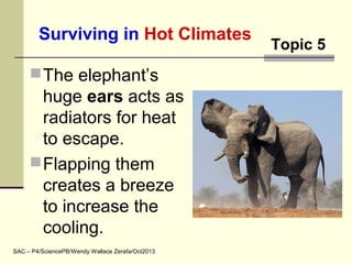 Science - Topic 05: How animals respond to heat and cold | PPT