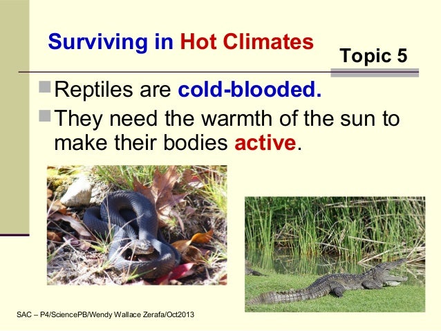 Science - Topic 05: How animals respond to heat and cold