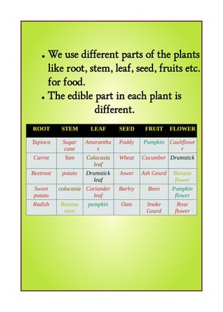 Different parts of the plants | PDF