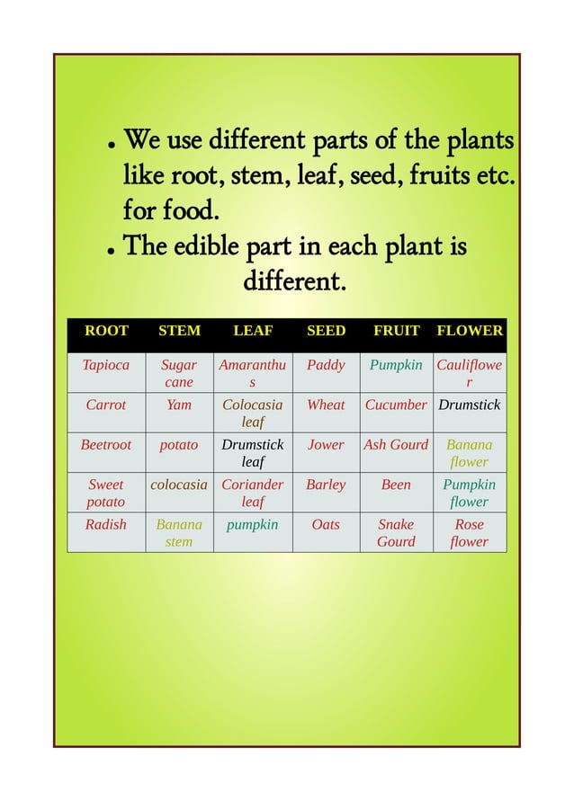 Different parts of the plants | PDF