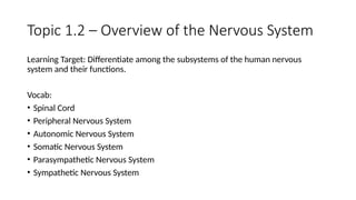 Topic 1.2 - Overview of the Nervous System.pptx