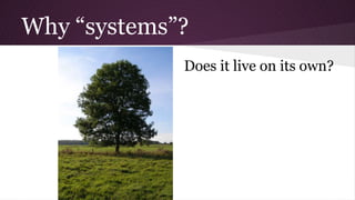 IBDP ESS Topic 1.2 Systems and Models.pptx