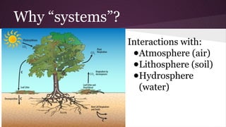 IBDP ESS Topic 1.2 Systems and Models.pptx