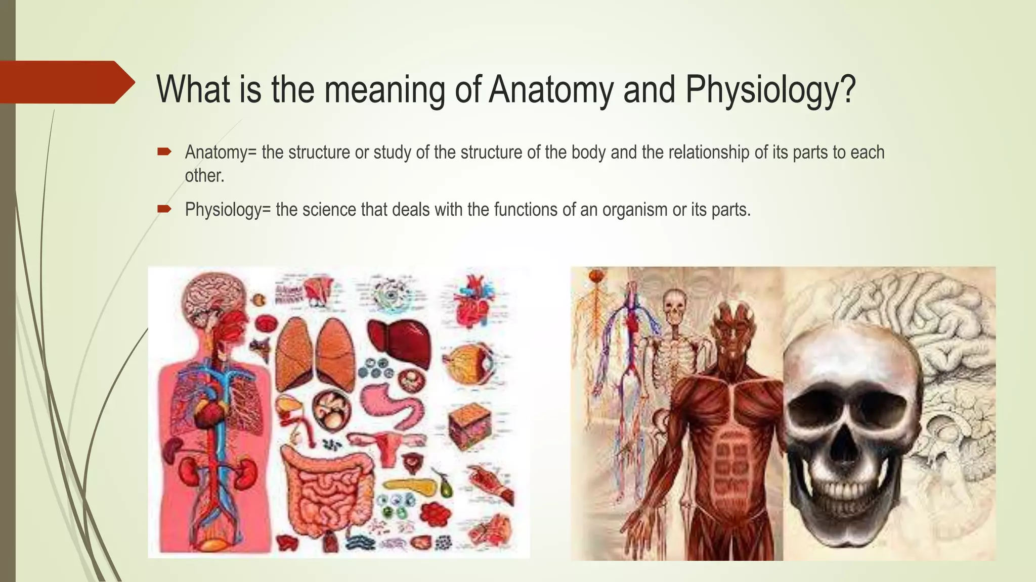 Topic 1 -introduction_to_human_body | PPT
