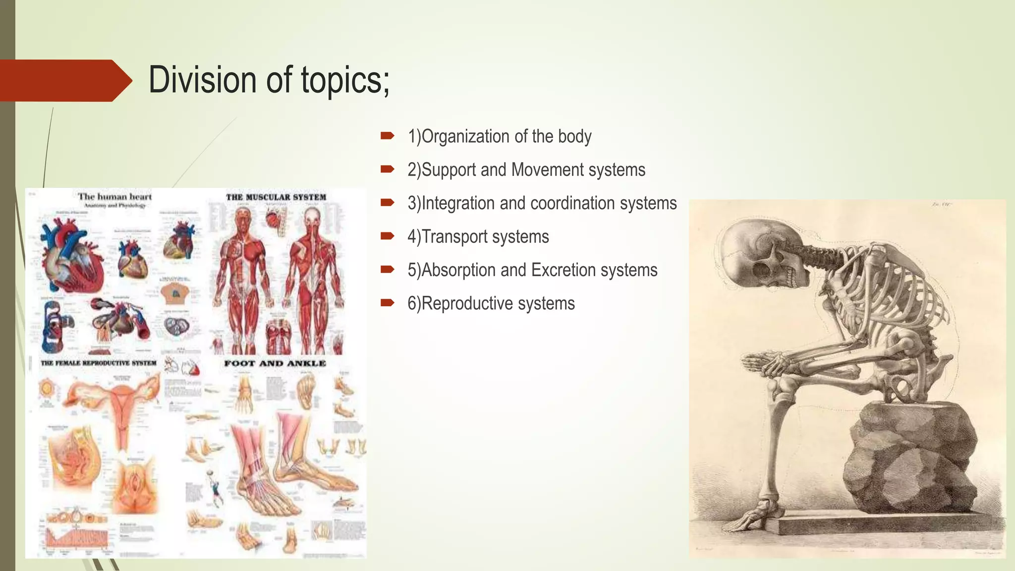 Topic 1 -introduction_to_human_body | PPTX