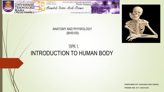 Topic 1 -introduction_to_human_body | PPT