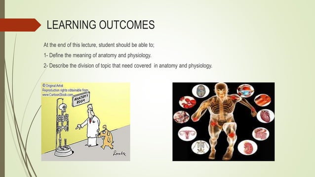 Topic 1 -introduction_to_human_body | PPT