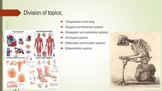 Topic 1 -introduction_to_human_body | PPT
