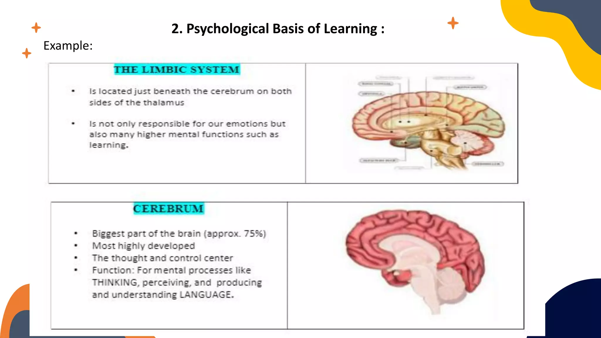 TOPIC 1 - Learning to be a better learner .pdf