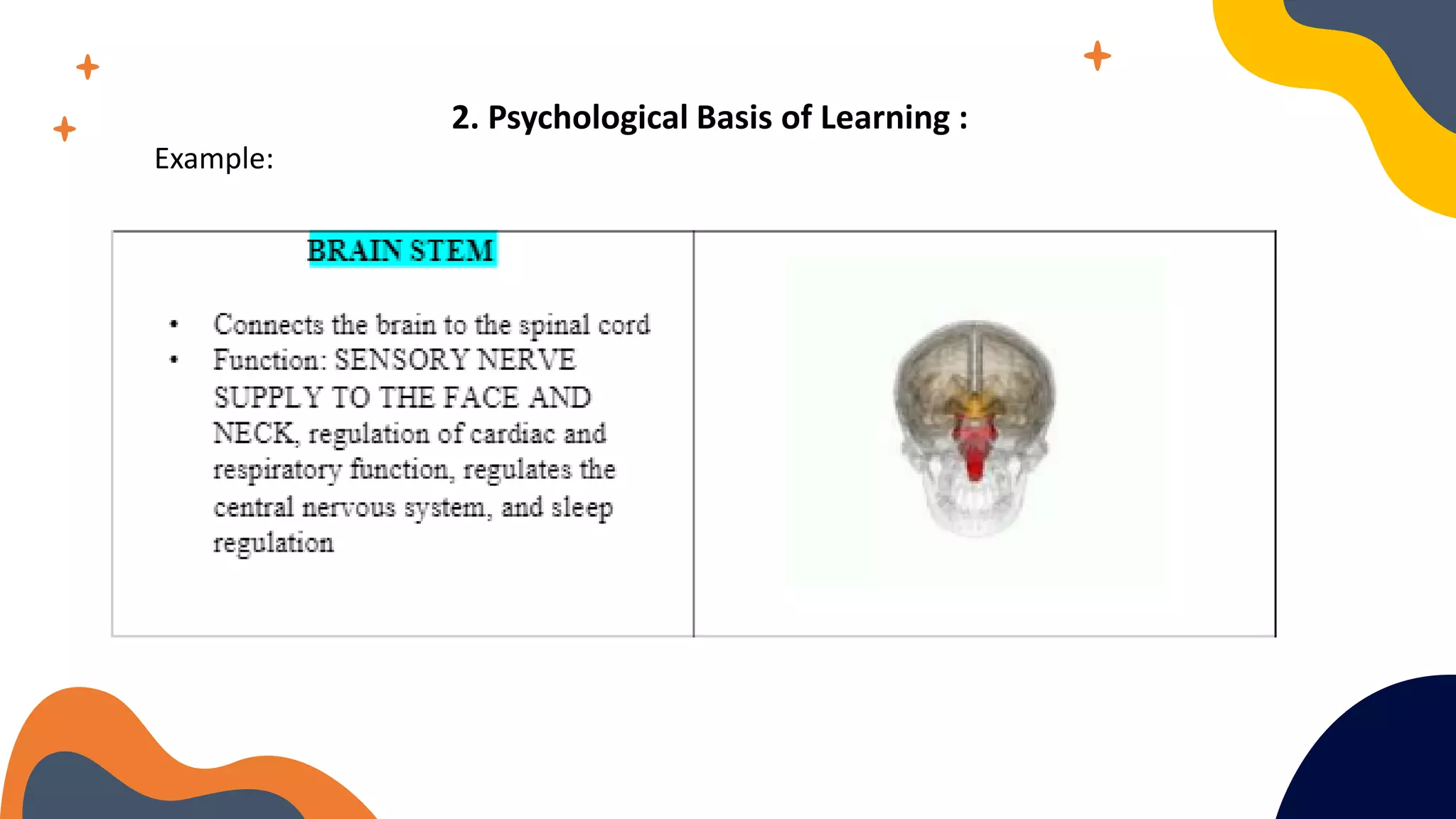 TOPIC 1 - Learning to be a better learner .pdf